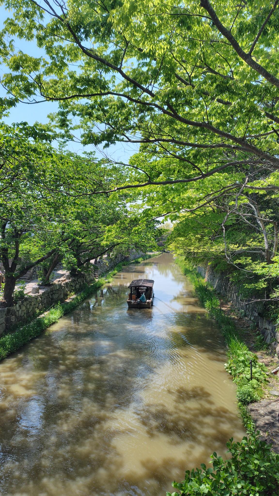 近江散策 / yoheiさんのモーメント | YAMAP / ヤマップ