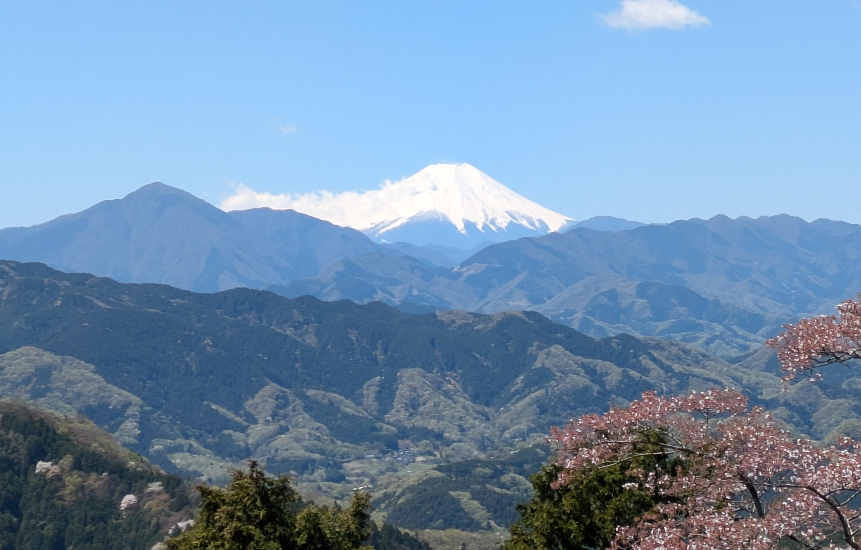 高尾山・ギリ間に合った山桜😭 / ashさんの高尾山・陣馬山・景信山の活動データ | YAMAP / ヤマップ
