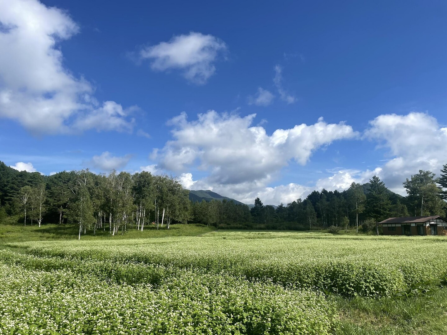 金土日で南アルプスに行くつもりだったけど... / ai nknkさんのモーメント | YAMAP / ヤマップ
