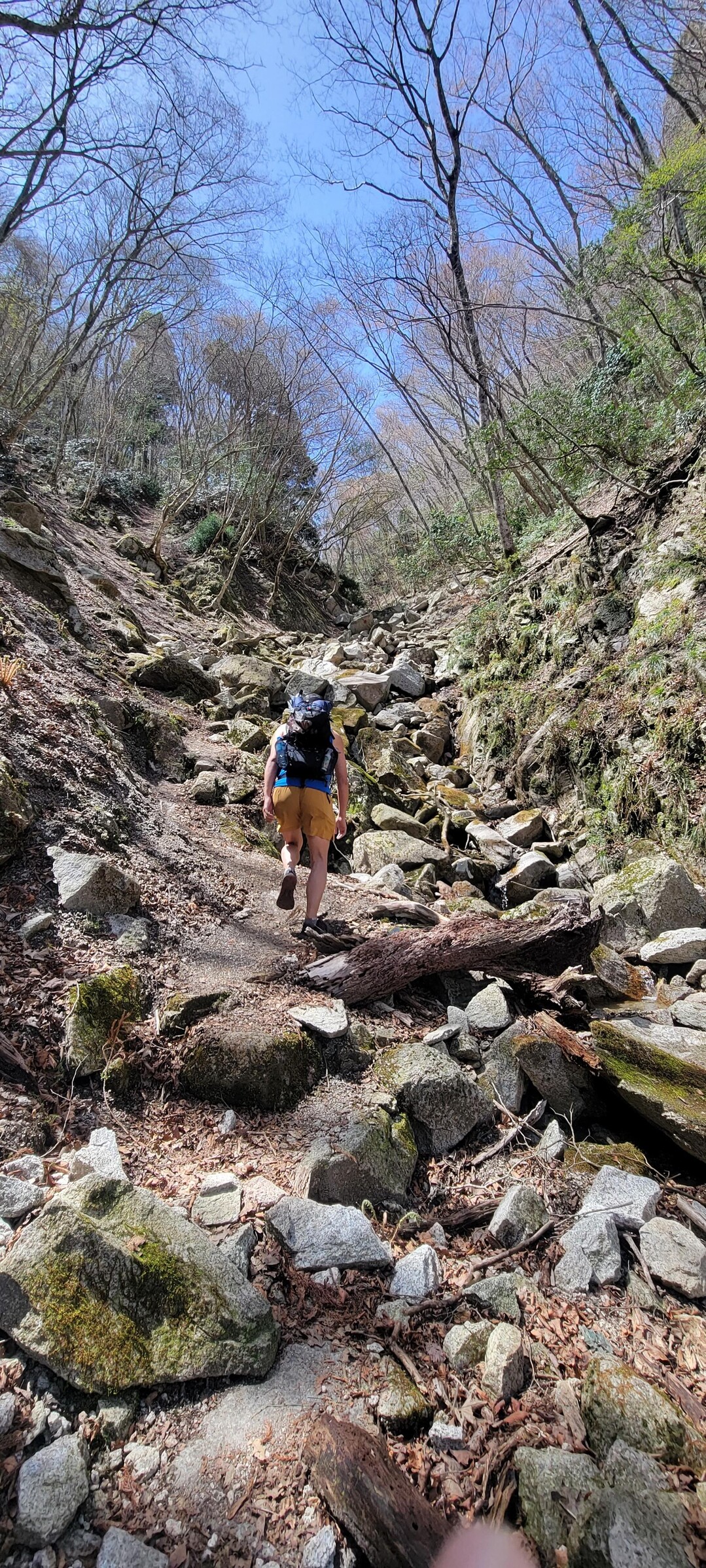 やまちゃんさんの投稿したフィールドメモ | YAMAP / ヤマップ