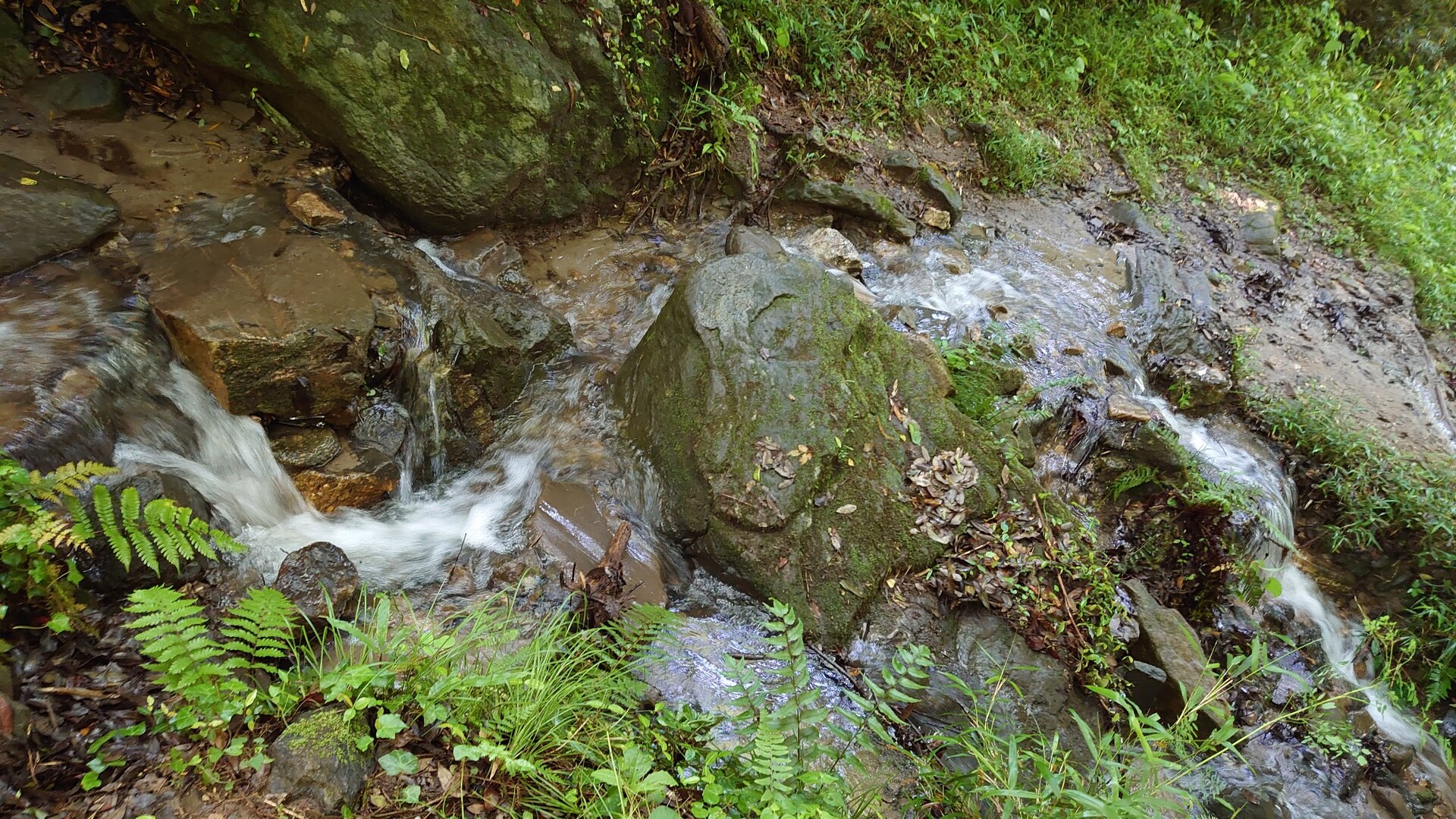 宝篋山の沢、やっぱり昨日の雨で水多めでし... / TKYMさんのモーメント | YAMAP / ヤマップ
