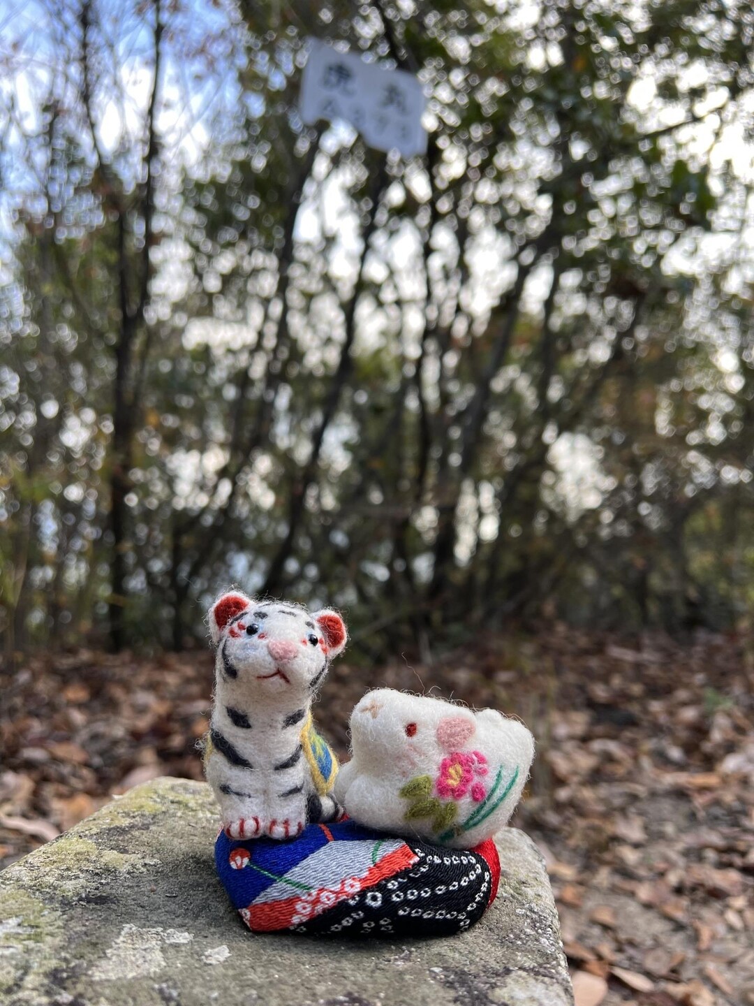 遅ればせながら干支の山へ / Rincoさんの虎丸山・那智山・本宮山の活動データ | YAMAP / ヤマップ