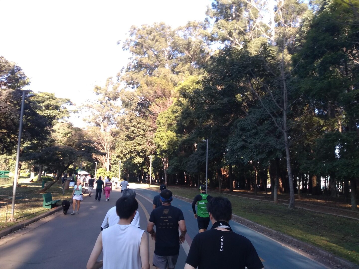 ランニング その94 / HASE ブラジルさんのランニングの活動データ | YAMAP / ヤマップ