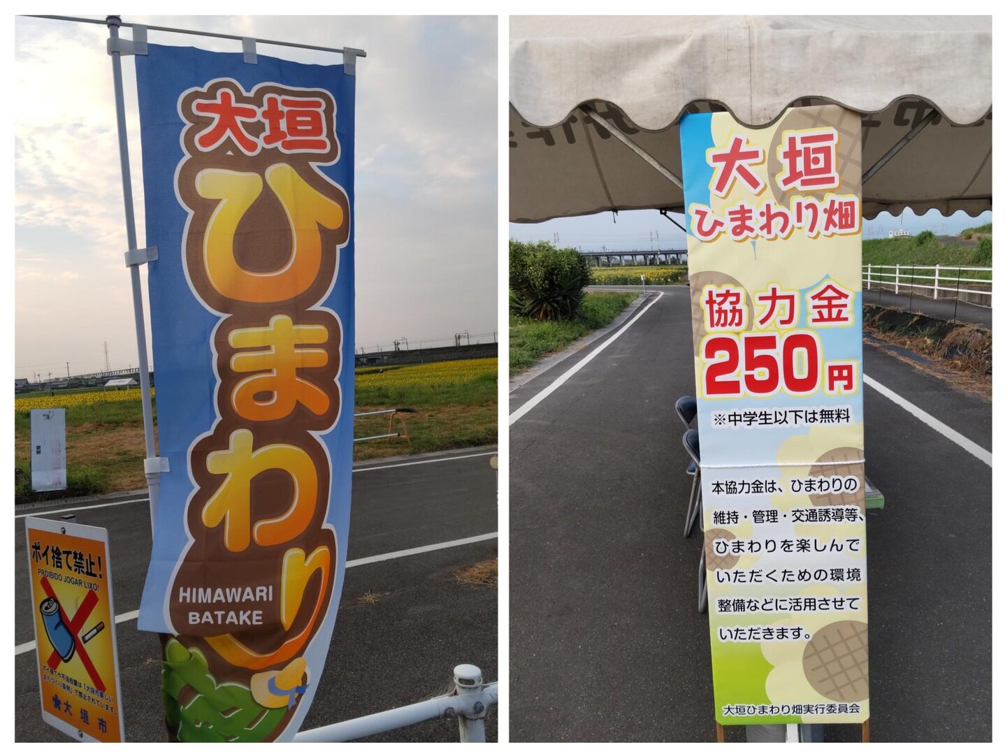 『大垣ひまわり畑2024🌻』 今が見頃... / モンチGf🙊さんのモーメント | YAMAP / ヤマップ