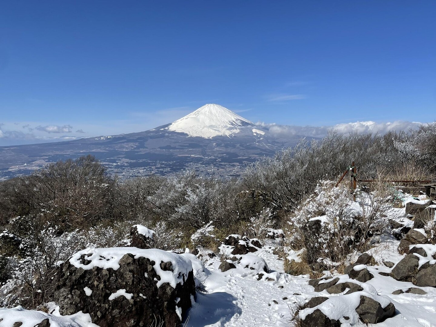 金時山〜明神ヶ岳(公時神社前〜強羅駅) / ririさんの金時山・明神ヶ岳の活動データ | YAMAP / ヤマップ