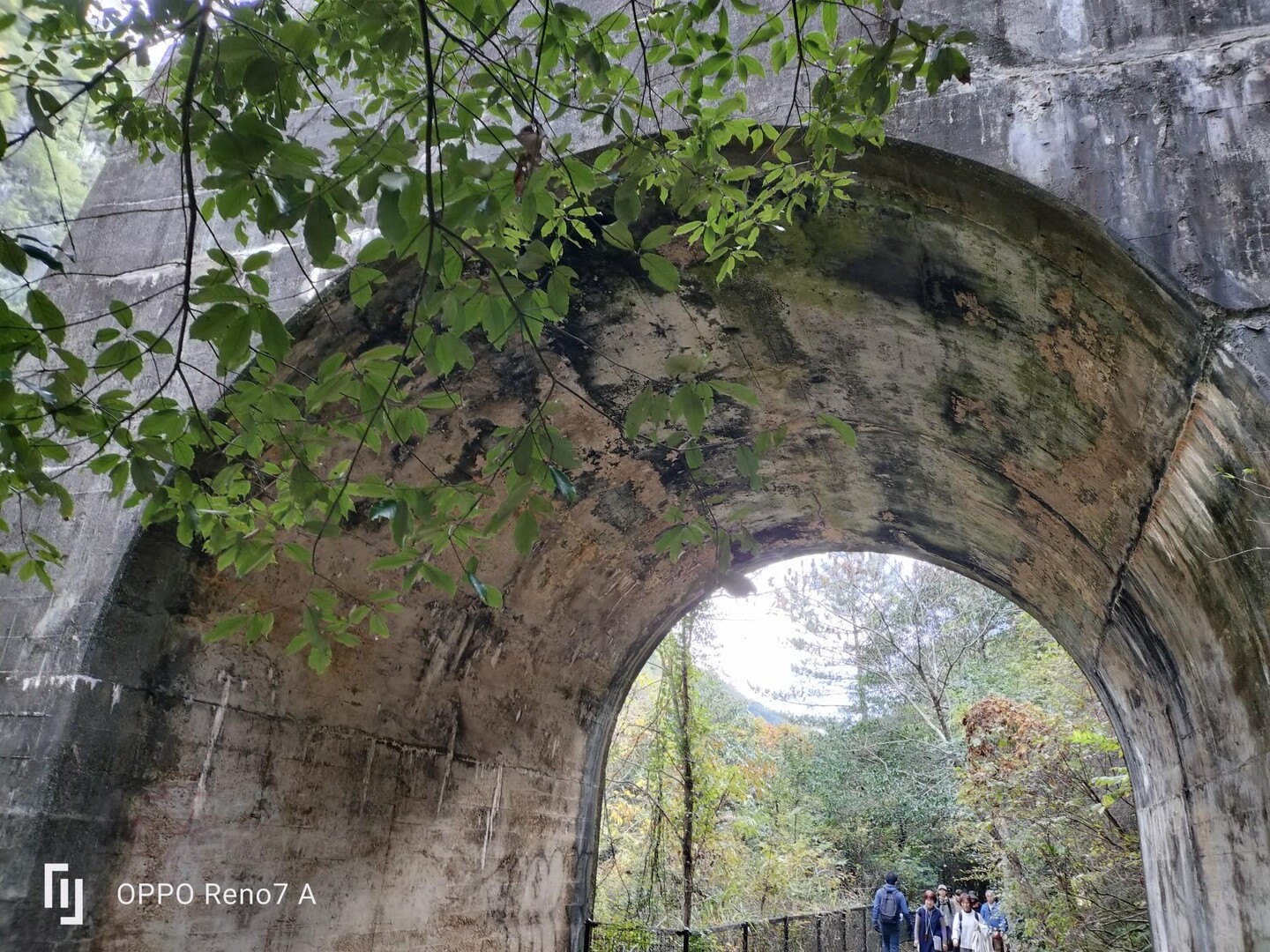 中山・大峰山-2024-11-23 / KMKさんの中山・大峰山の活動データ | YAMAP / ヤマップ