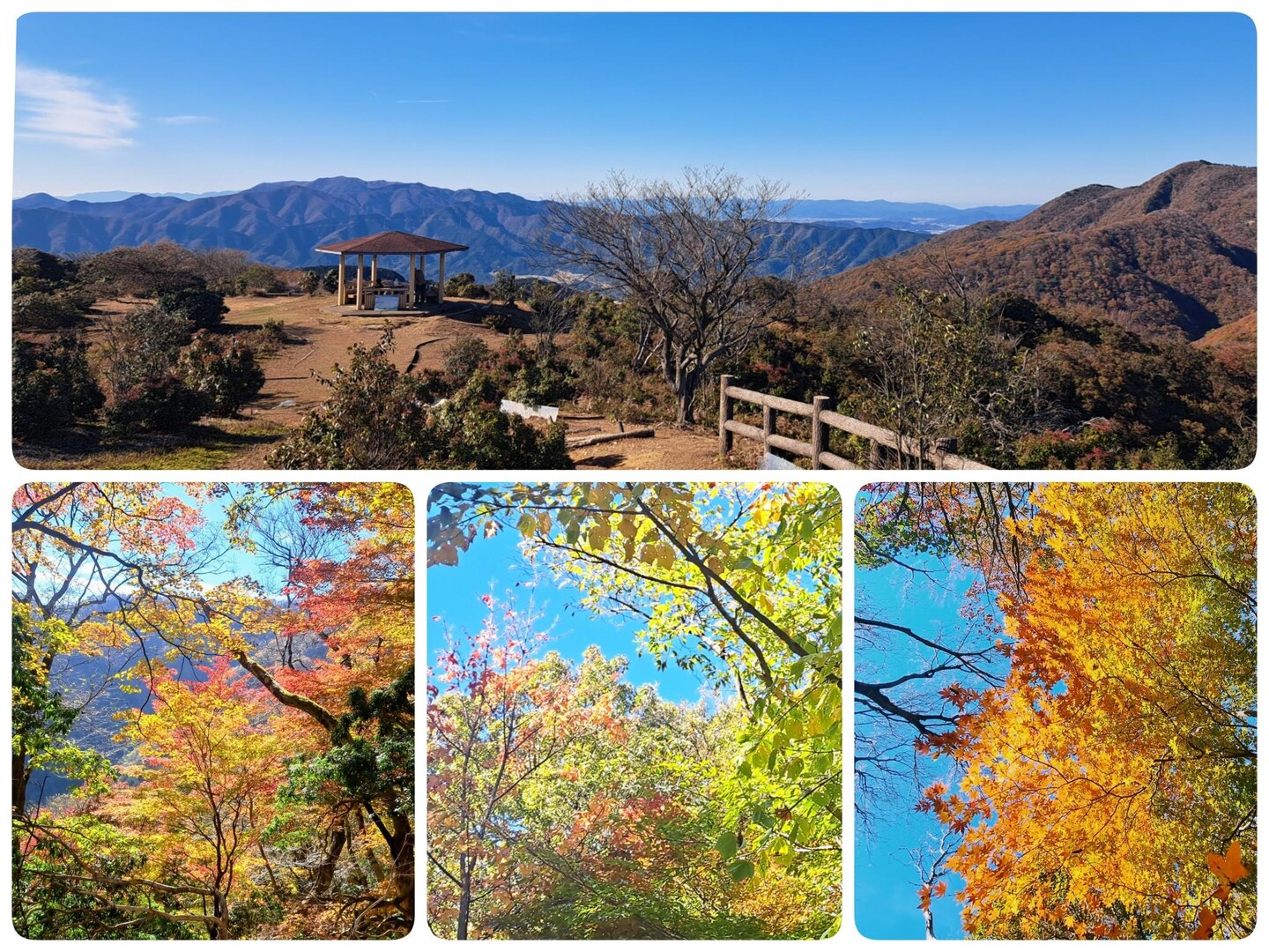 アセビ平スカイテラスへ～養老山・三方山☀ / Cheさんの養老山・笙ヶ岳・三方山の活動日記 | YAMAP / ヤマップ