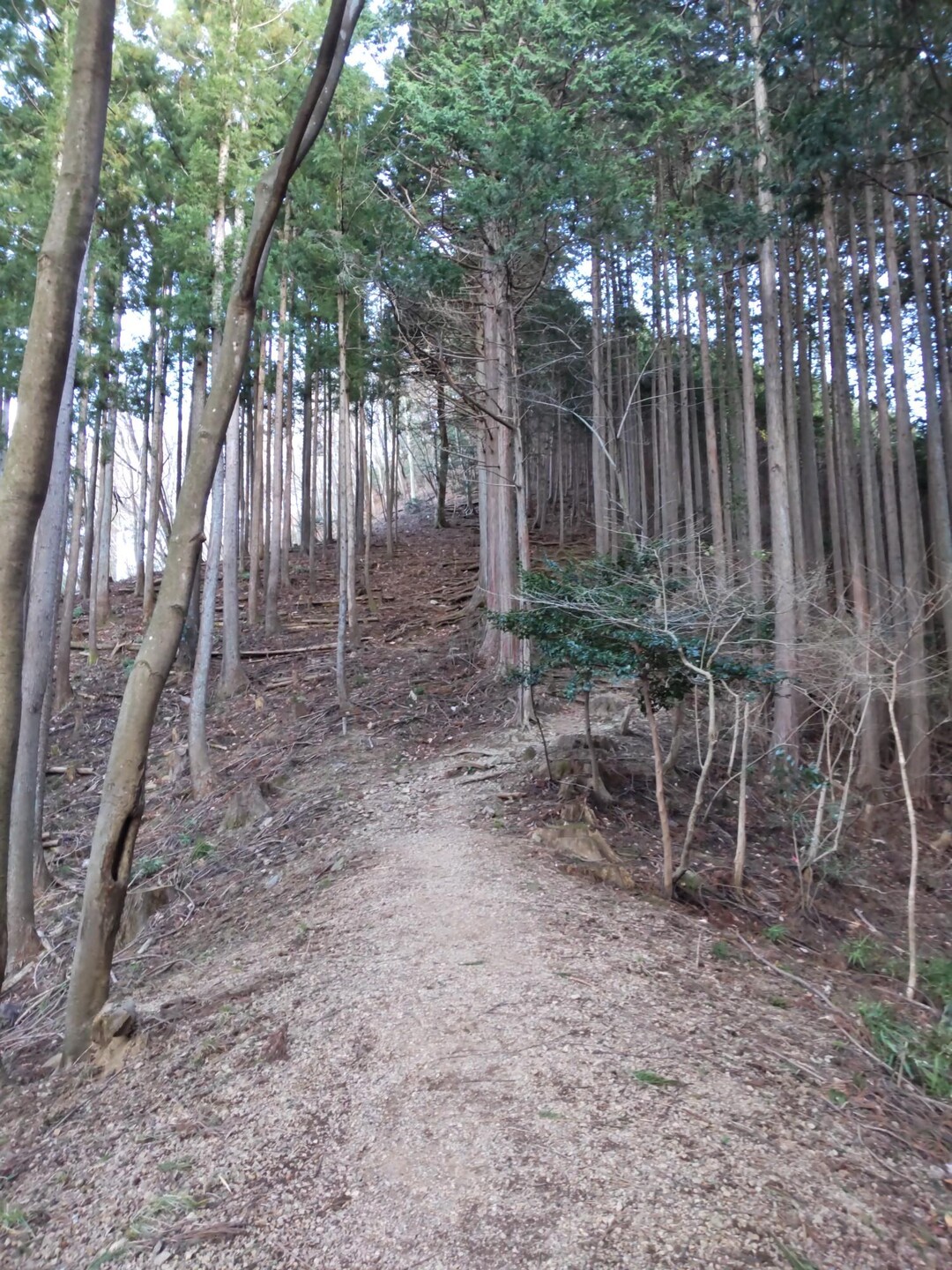 2022.12.26(月) 12:24 / しゅんしゅんさんのモーメント | YAMAP / ヤマップ