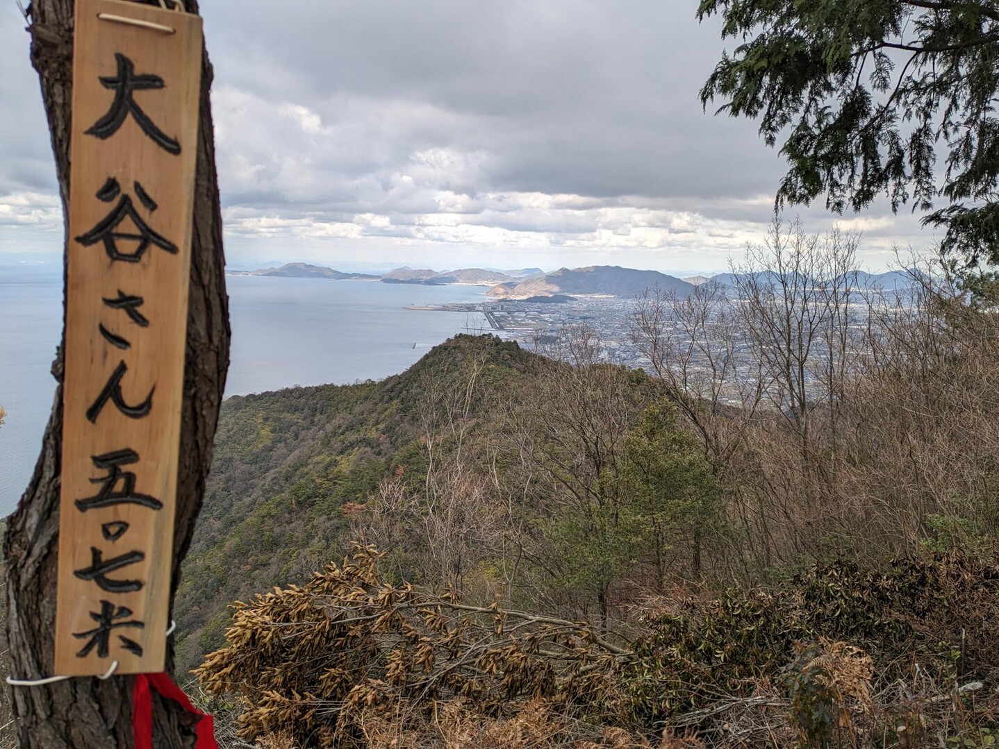 龍王山箕浦 ｱｺｶﾞﾚﾙﾉﾔﾒﾏｼｮｳ / BIK局長さんの雲辺寺山の活動データ | YAMAP / ヤマップ