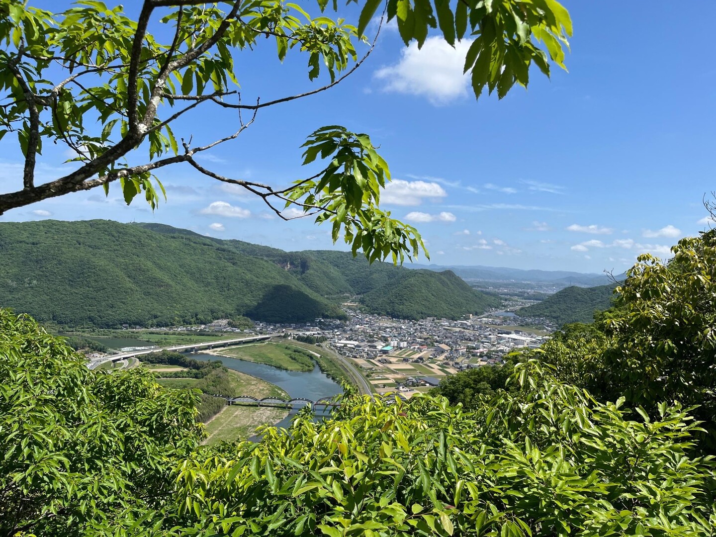 龍ノ口山-2024-05-05 / youさんの龍ノ口山の活動データ | YAMAP / ヤマップ