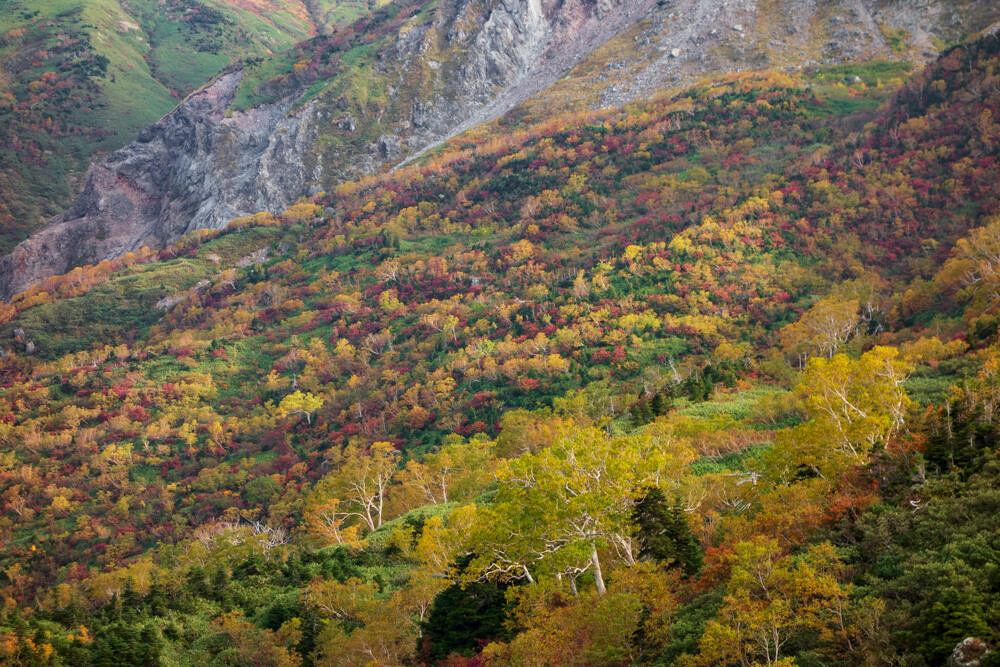 白山（別当出合登山口 日帰り） / hkhg_yさんの白山・別山・銚子ヶ峰の活動データ | YAMAP / ヤマップ
