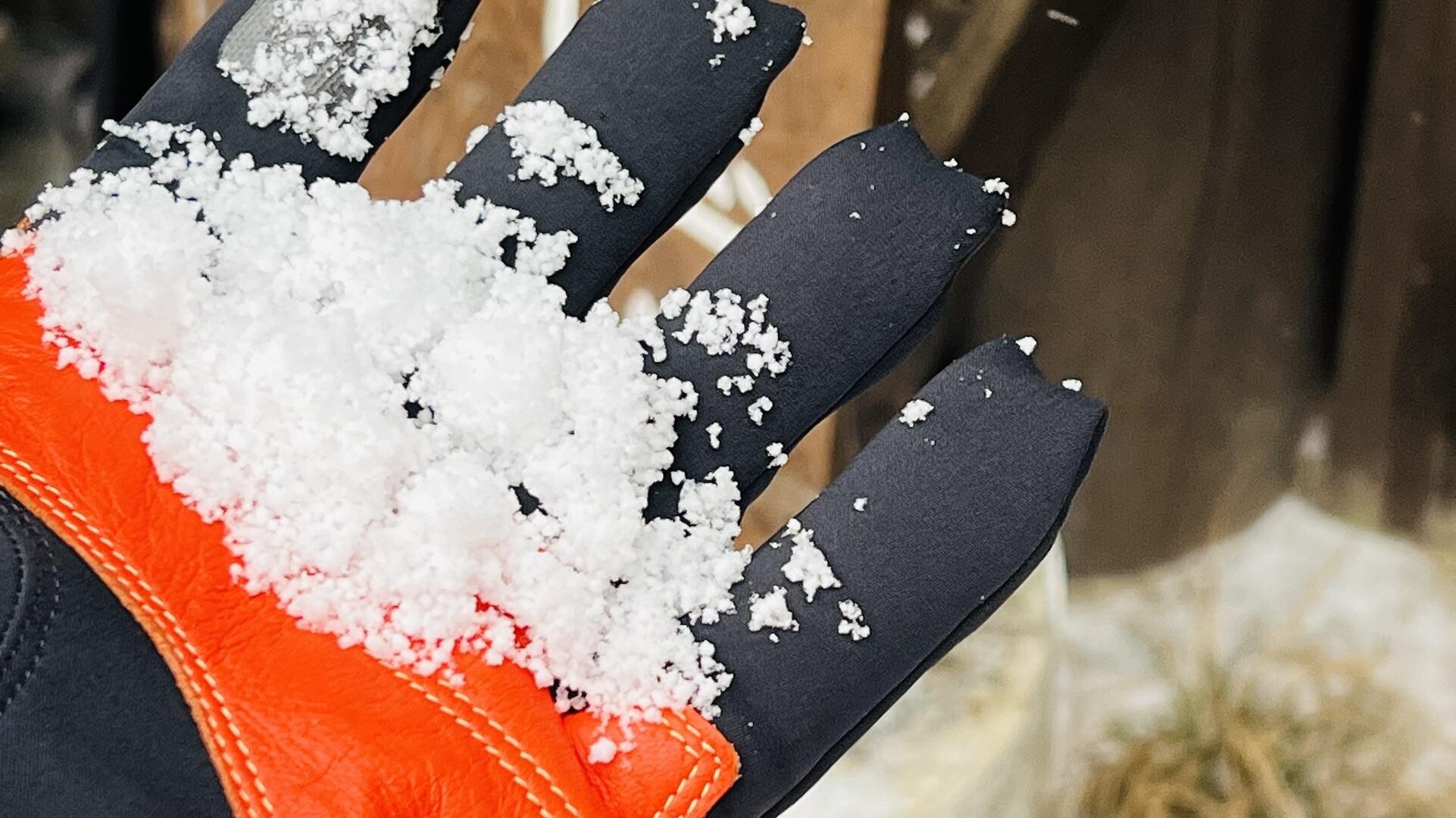 硫黄岳-2023-12-16.17 / Field Onlyさんの八ヶ岳（赤岳・硫黄岳・天狗岳）の活動データ | YAMAP / ヤマップ