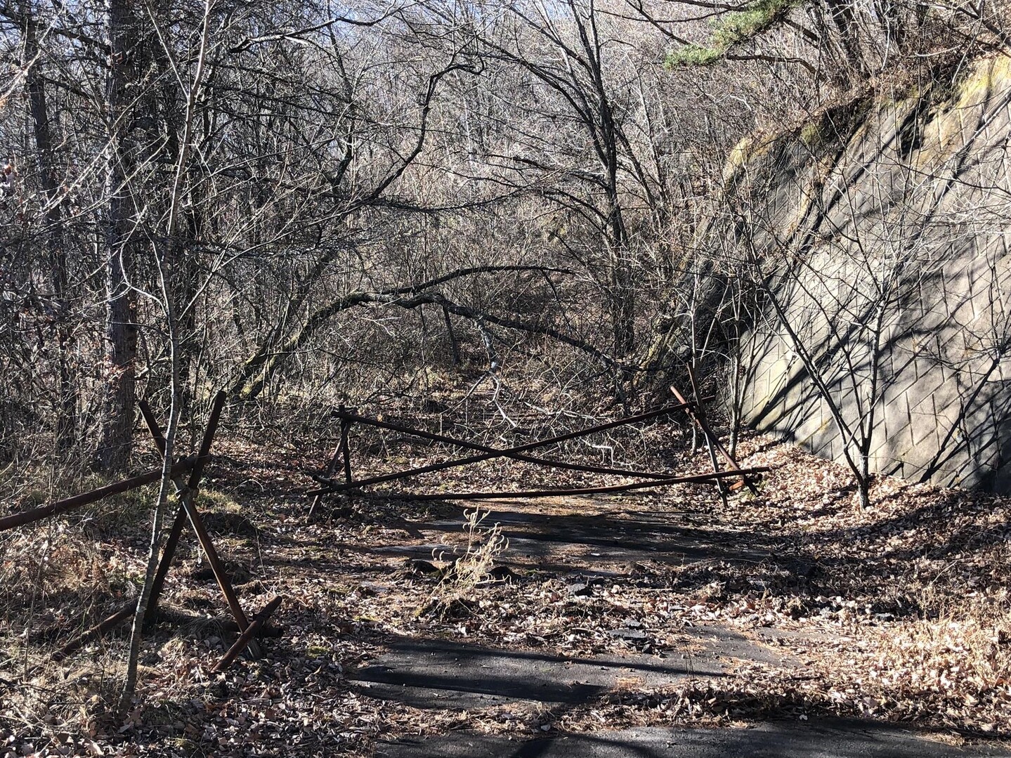 SamuSamuさんの投稿したフィールドメモ | YAMAP / ヤマップ