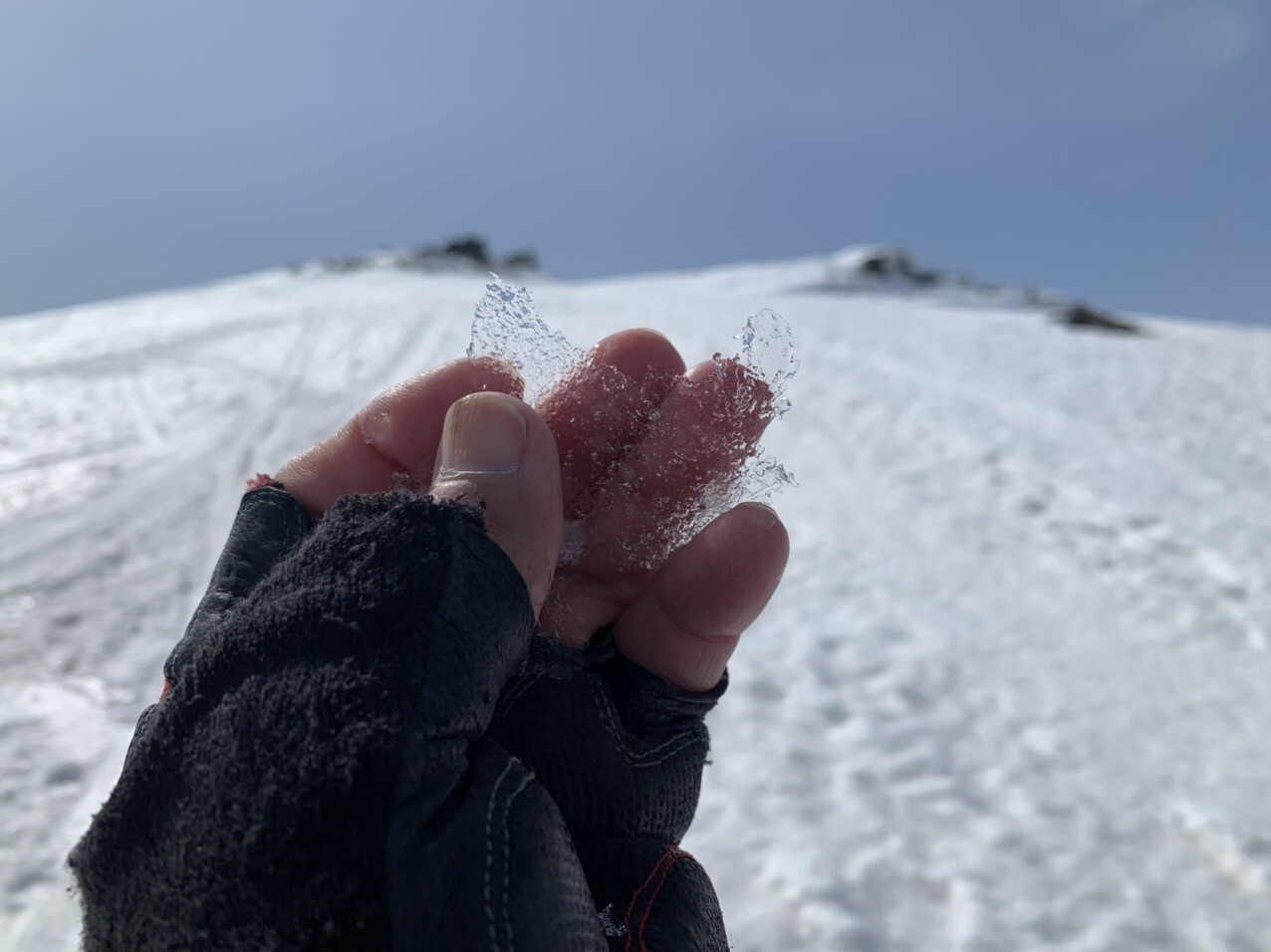 春の目国内岳BC / bono.さんの目国内岳・雷電山の活動データ | YAMAP / ヤマップ