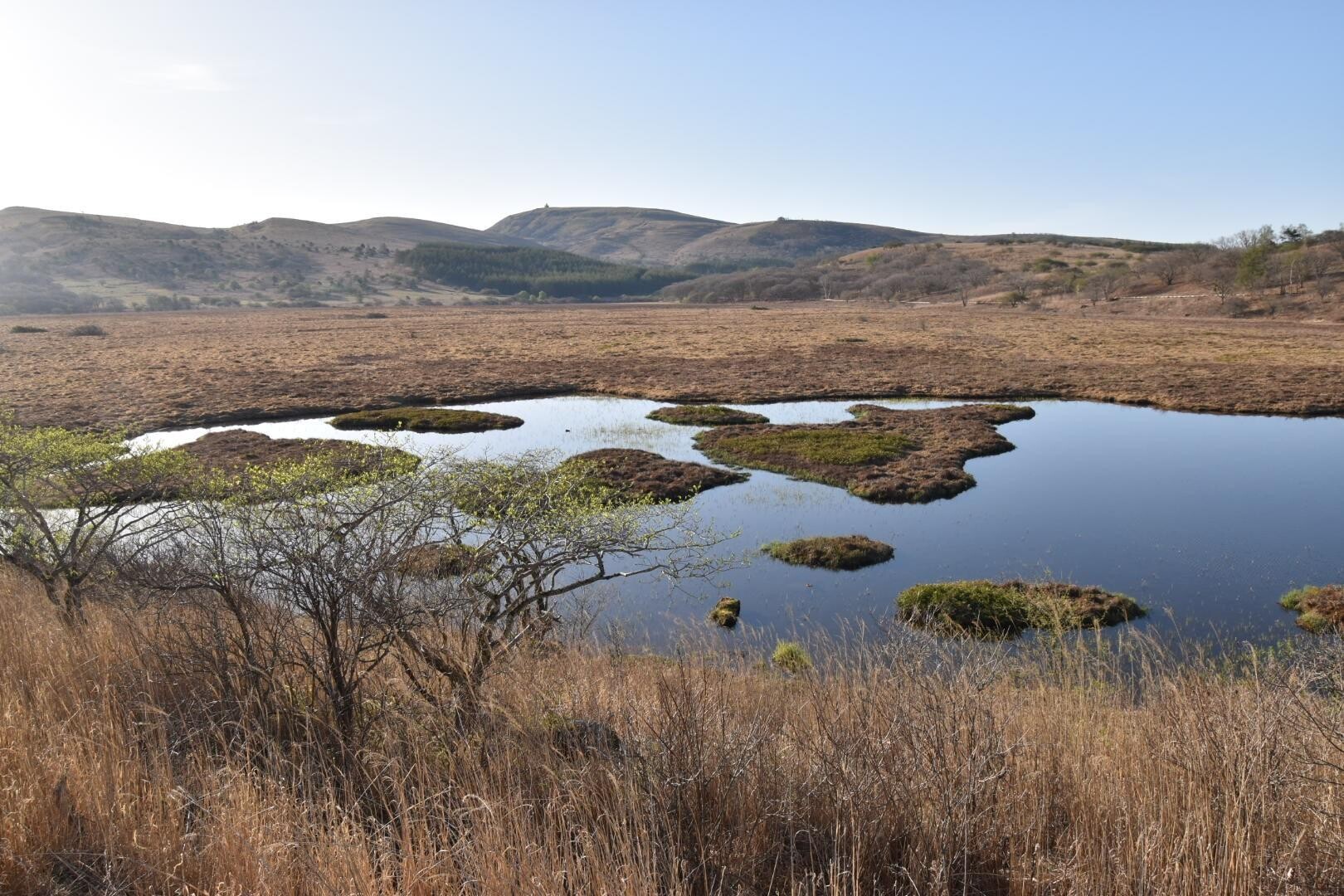 生きものたちとの出合いがいっぱい鷲ヶ峰 / Y-Yuccaさんの霧ヶ峰・車山・大笹峰の活動データ | YAMAP / ヤマップ