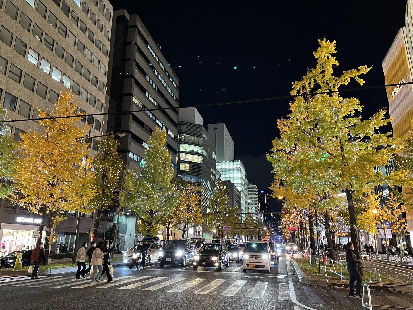 会社帰り、ちょっと寄り道の散歩で、御堂筋... / greenmoonきくちゃんさんのモーメント | YAMAP / ヤマップ