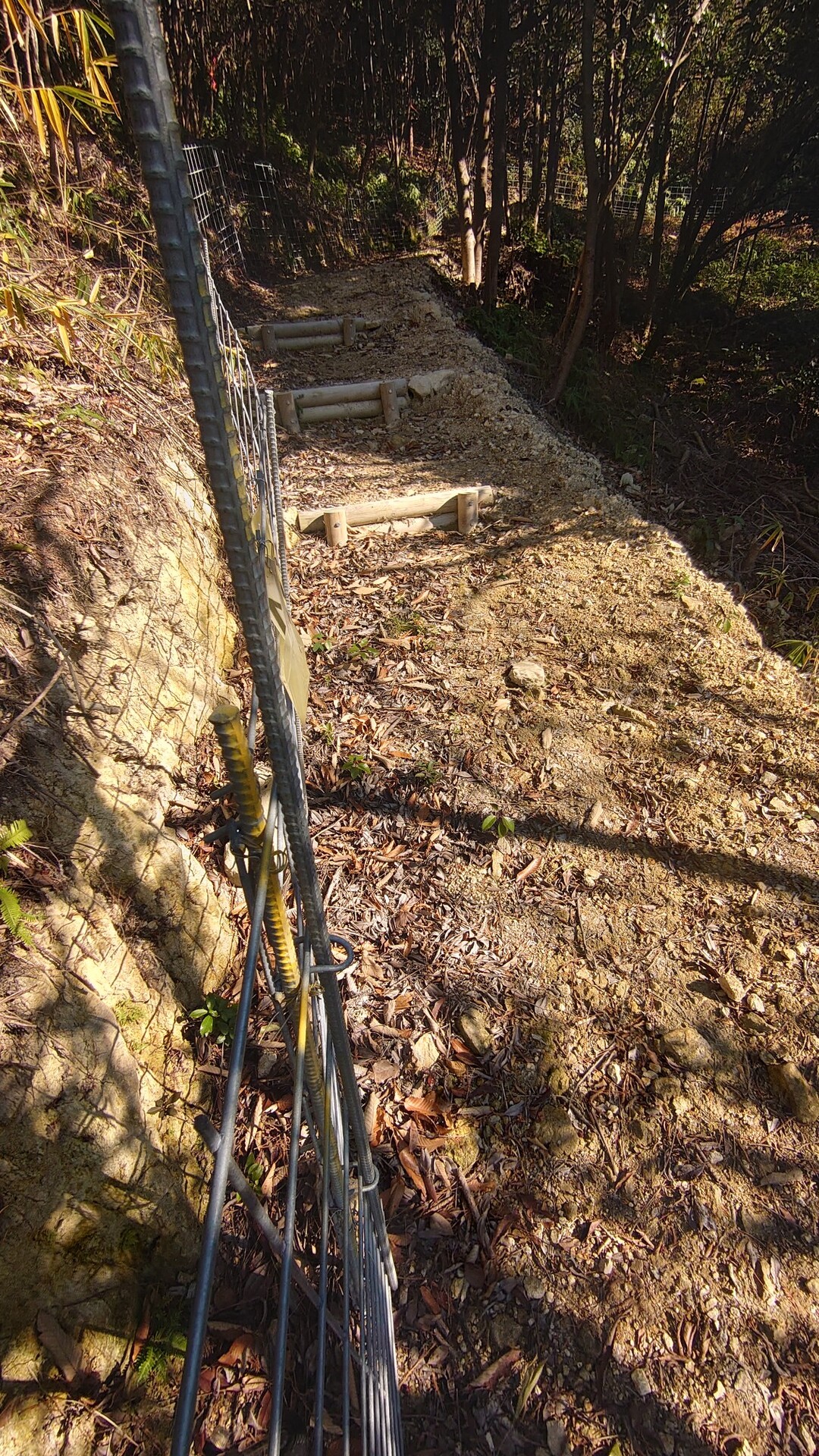 SAMちゃんさんの投稿したフィールドメモ | YAMAP / ヤマップ