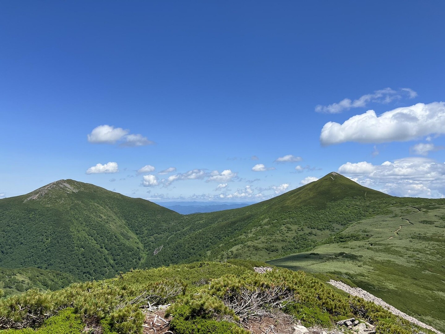 天塩岳ぐるりんこ / maya-mayaさんの天塩岳の活動データ | YAMAP / ヤマップ