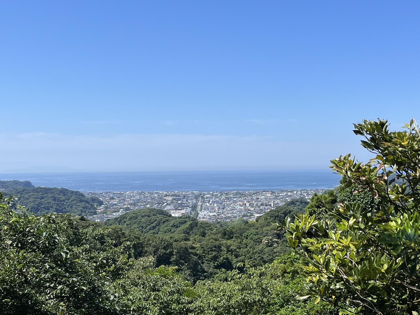 鎌倉アルプス（大平山・天台山）-2023-06-17 / PIROさんの鎌倉アルプス（大平山・天台山）の活動データ | YAMAP / ヤマップ