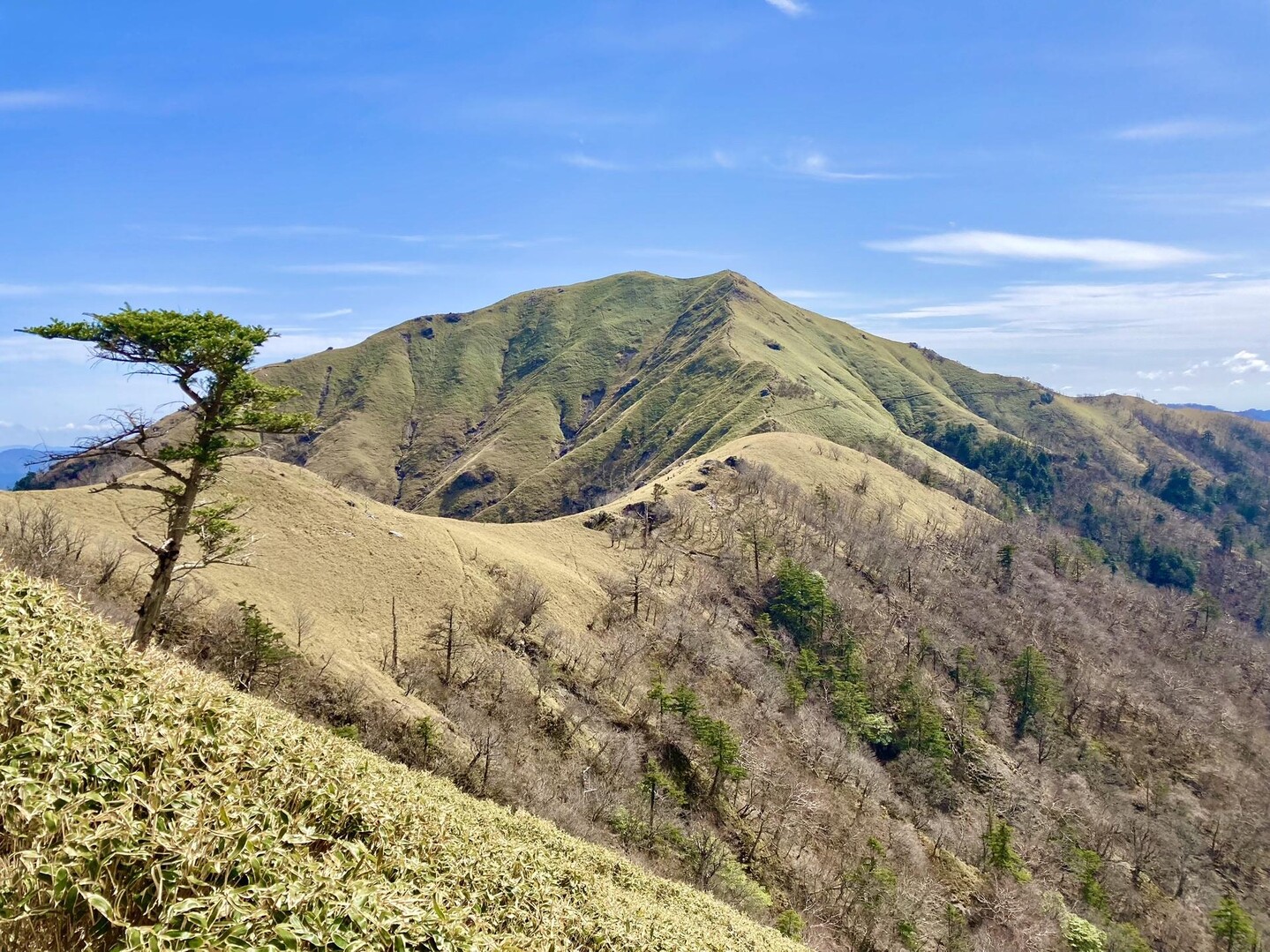 剣山・次郎笈 爽やかなトレッキング / BONDIさんの剣山の活動データ | YAMAP / ヤマップ