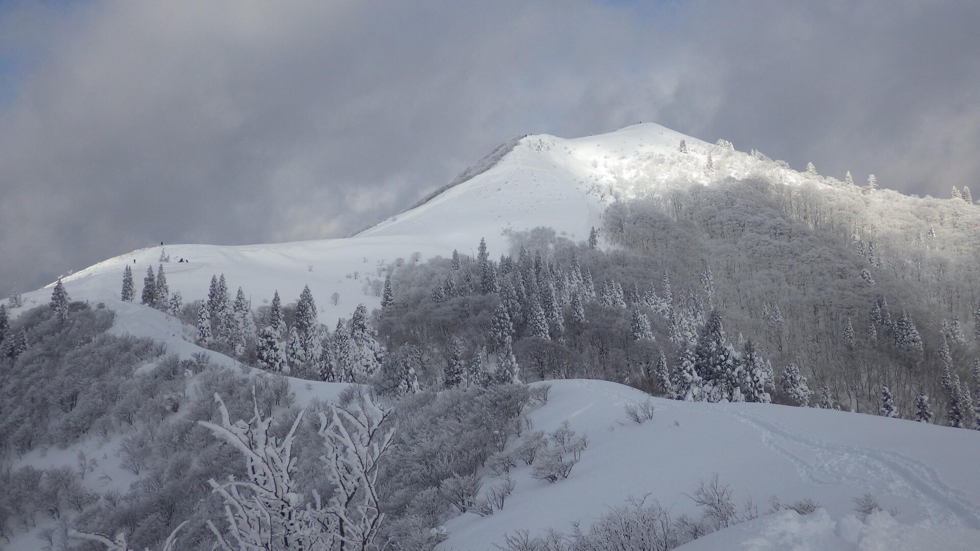 御殿山・武奈ヶ岳 / TYさんの比良山地・武奈ヶ岳・釈迦岳の活動データ | YAMAP / ヤマップ