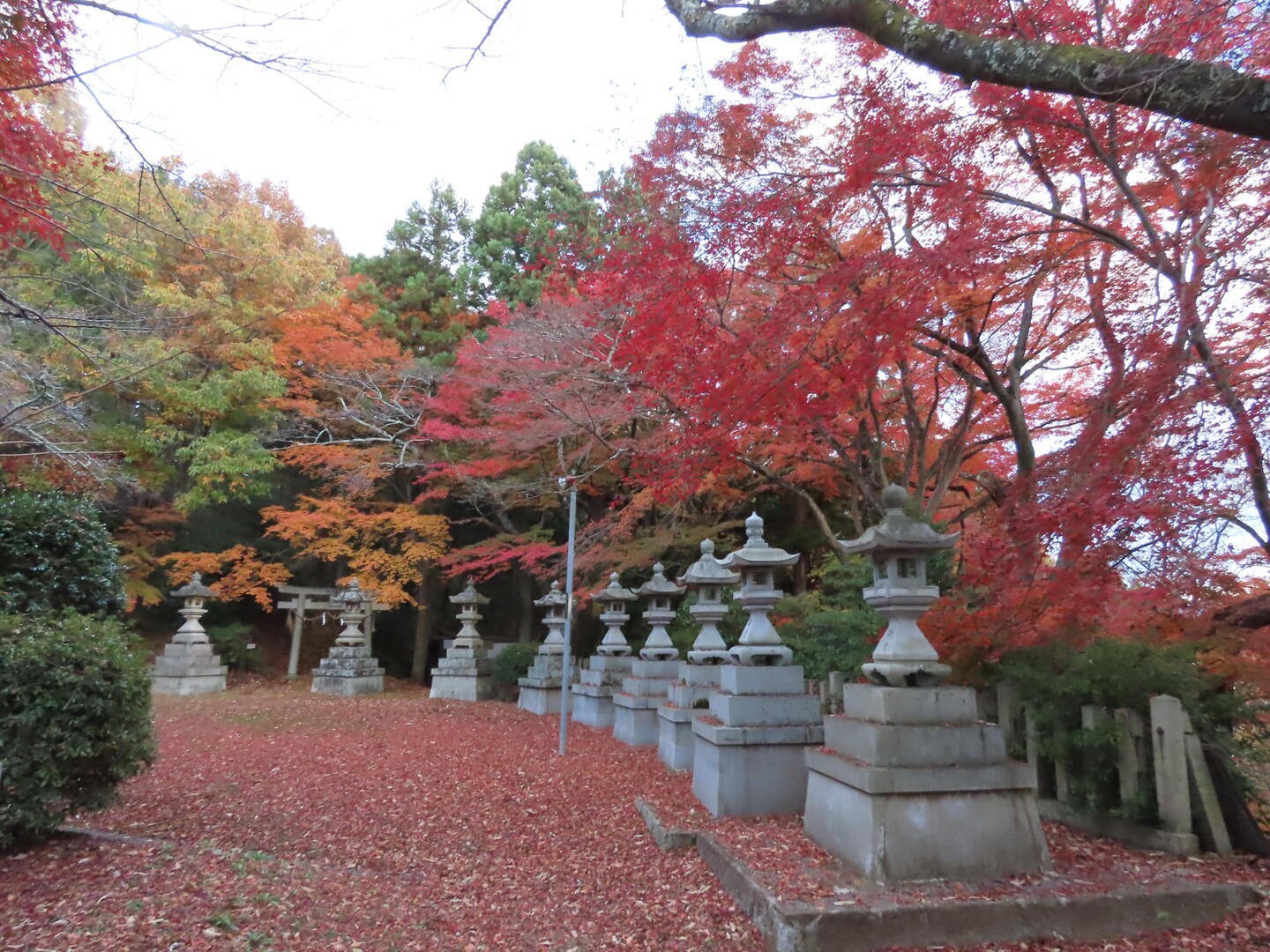ついでの磯山 / Mr.slimさんの磯山の活動データ | YAMAP / ヤマップ