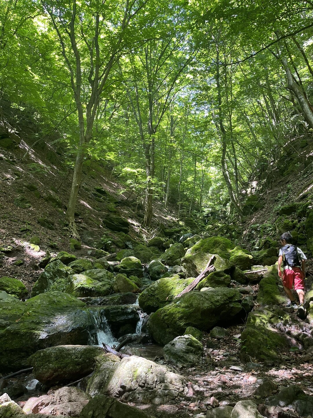 両神山（日向大谷口〜） / 山と飯 U.L.HIKEさんの両神山・諏訪山・二子山の活動データ | YAMAP / ヤマップ
