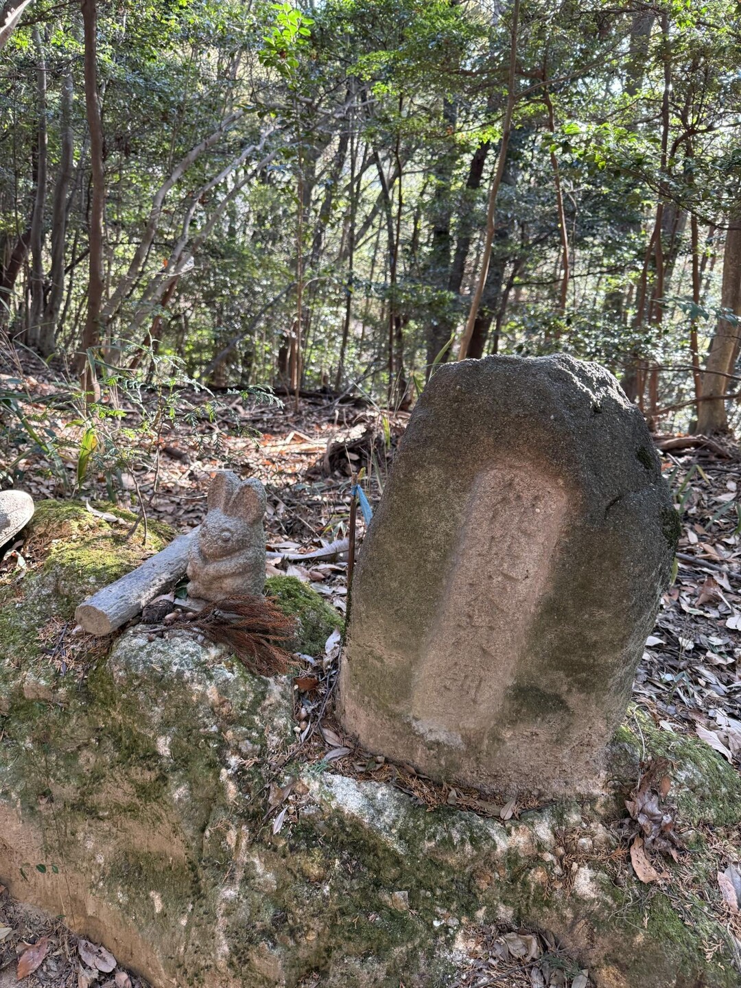 村積山 / Al exさんの村積山の活動データ | YAMAP / ヤマップ