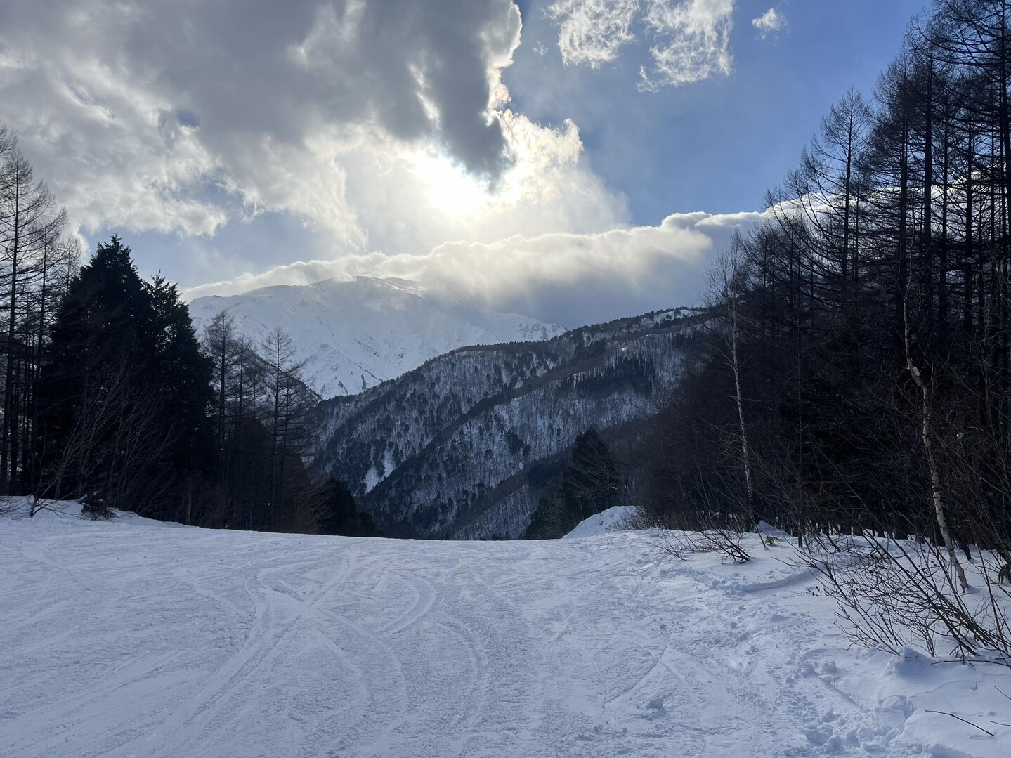 岩蕈山 / Richさんの白馬岩岳スノーフィールドの活動データ | YAMAP / ヤマップ