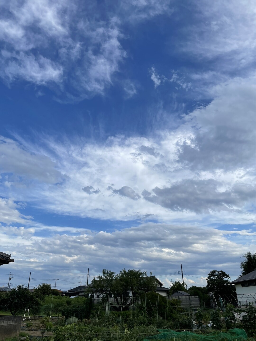 河川敷ラン / ken-3さんの狭山市の活動データ | YAMAP / ヤマップ