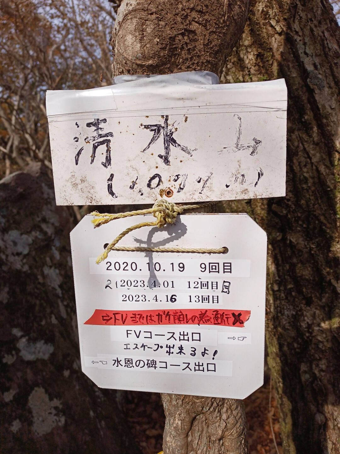 清水山 / toshil-_-lさんの九重山（久住山）・大船山・星生山の活動データ | YAMAP / ヤマップ