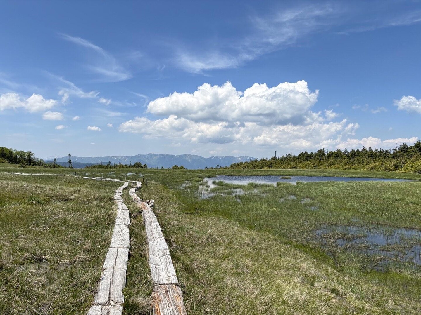 花の帝釈山・田代山 / ayaさんの田代山・帝釈山の活動データ | YAMAP / ヤマップ