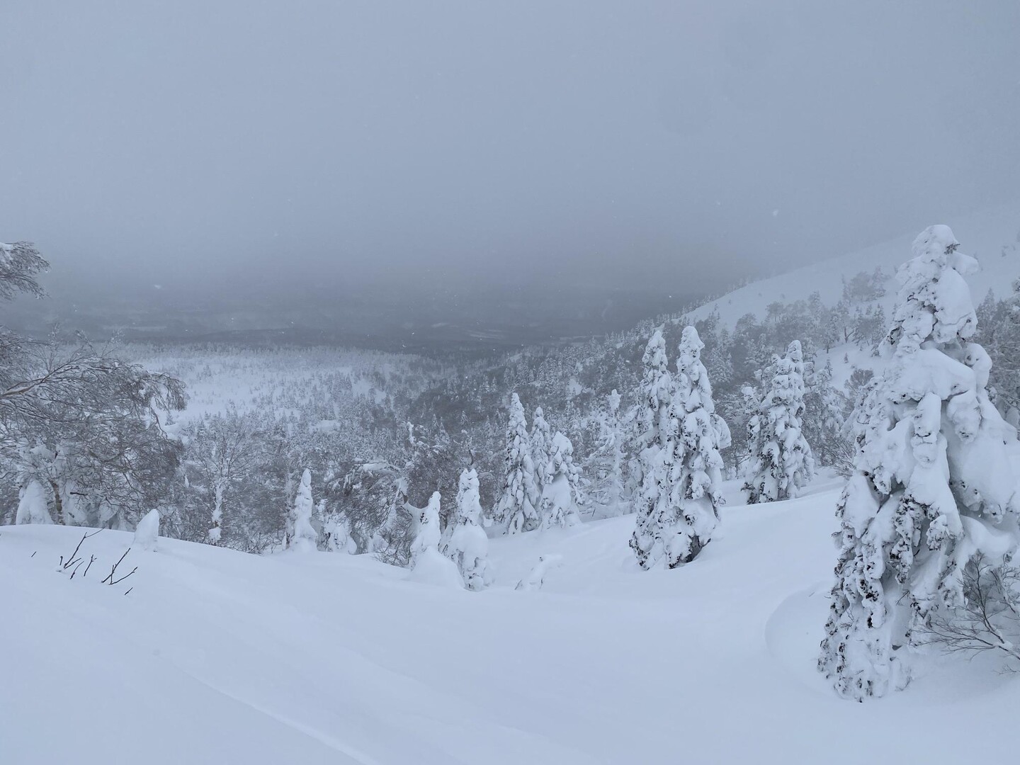 八甲田BC / ko_daiさんの八甲田山・高田大岳・雛岳の活動データ | YAMAP / ヤマップ