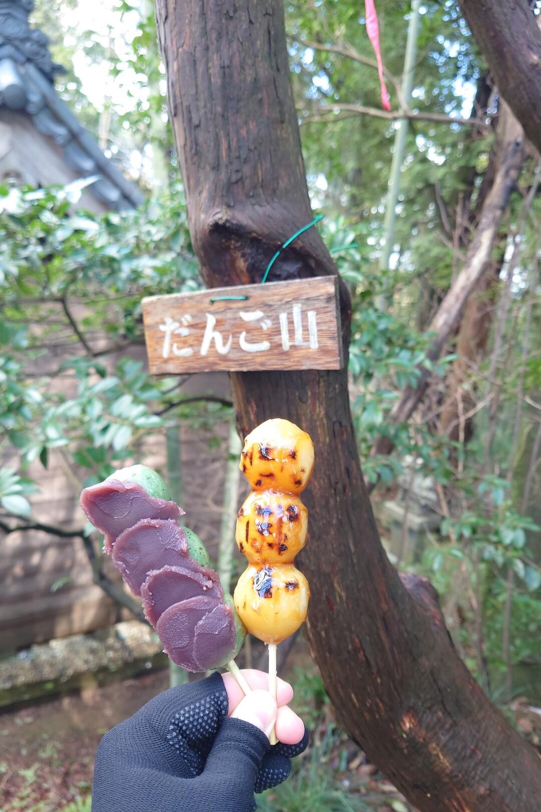 小谷山・だんご山・大池山・城山・神明山 / yuzuさんの小谷山・徳生山・経塚山の活動データ | YAMAP / ヤマップ