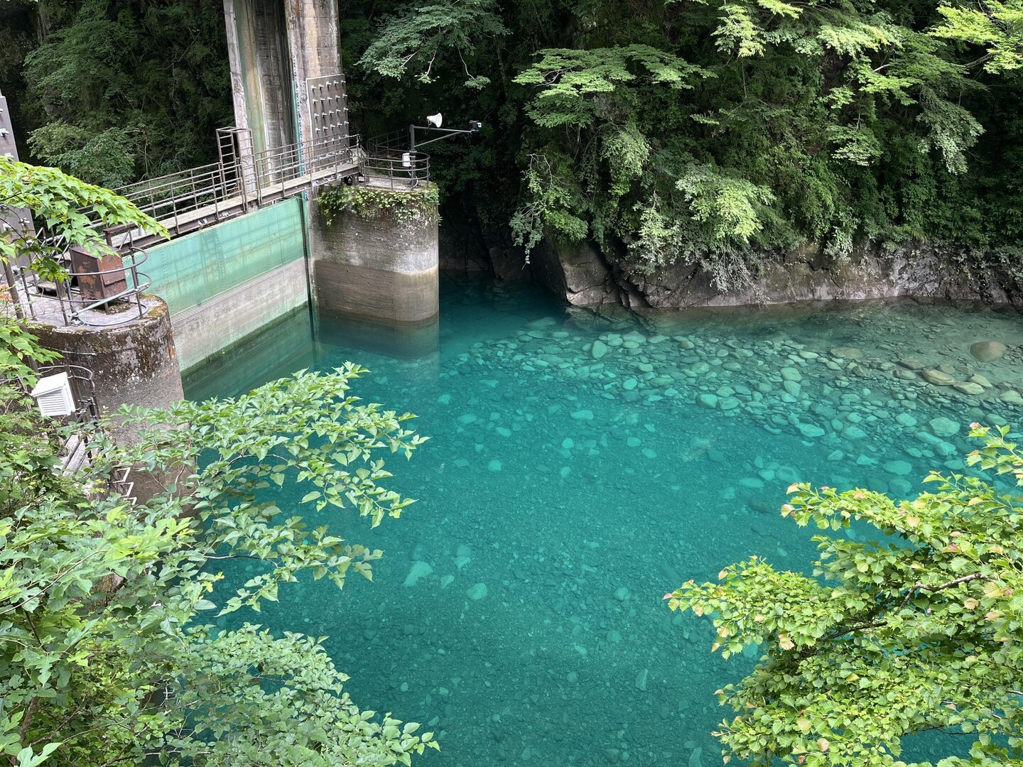 ユーシン渓谷散策 / takeyanさんの塔ノ岳・丹沢山・蛭ヶ岳の活動データ | YAMAP / ヤマップ