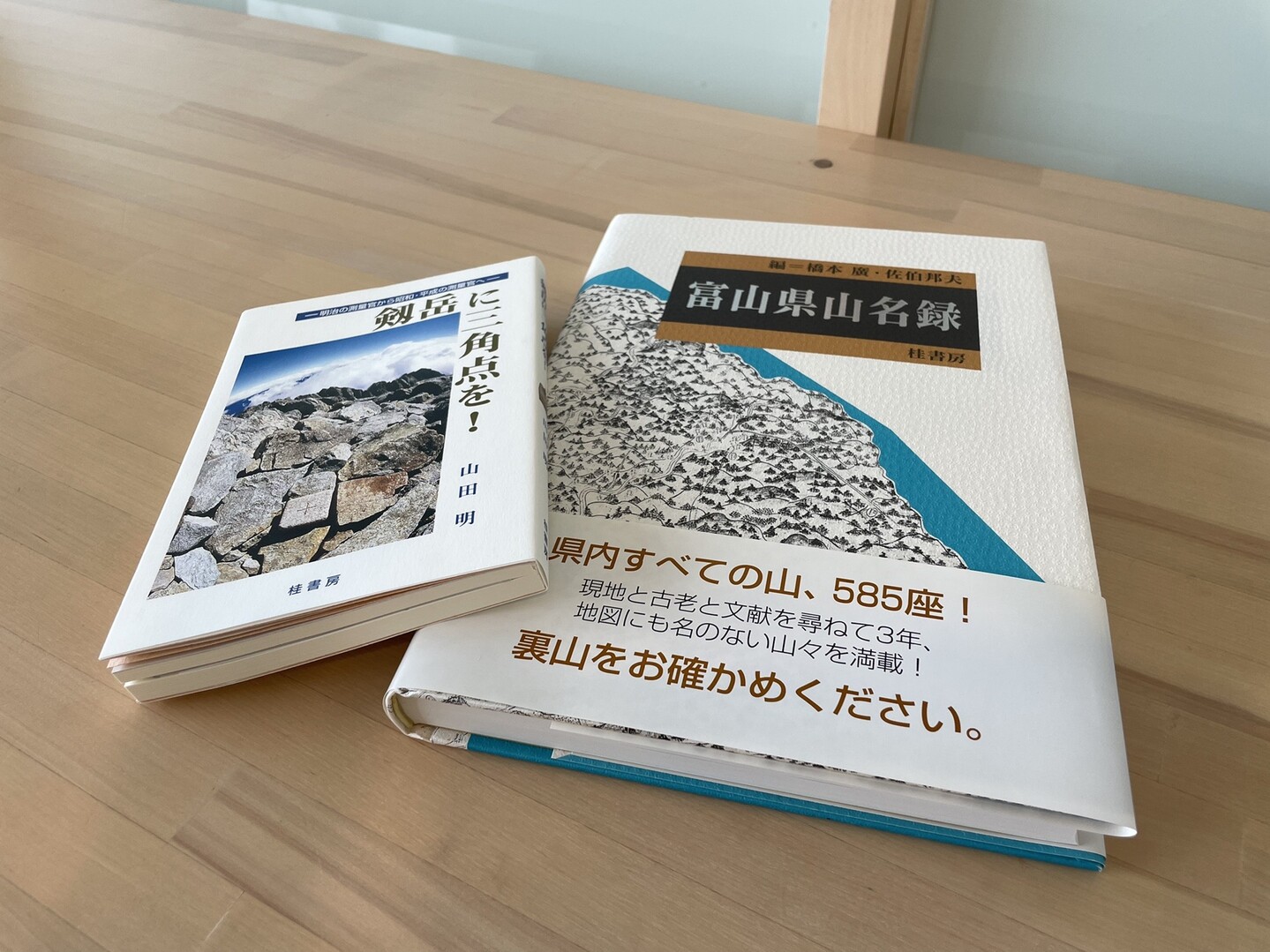 今は妄想登山で我慢。 それにしても585... / Yoshio_KSKさんのモーメント | YAMAP / ヤマップ