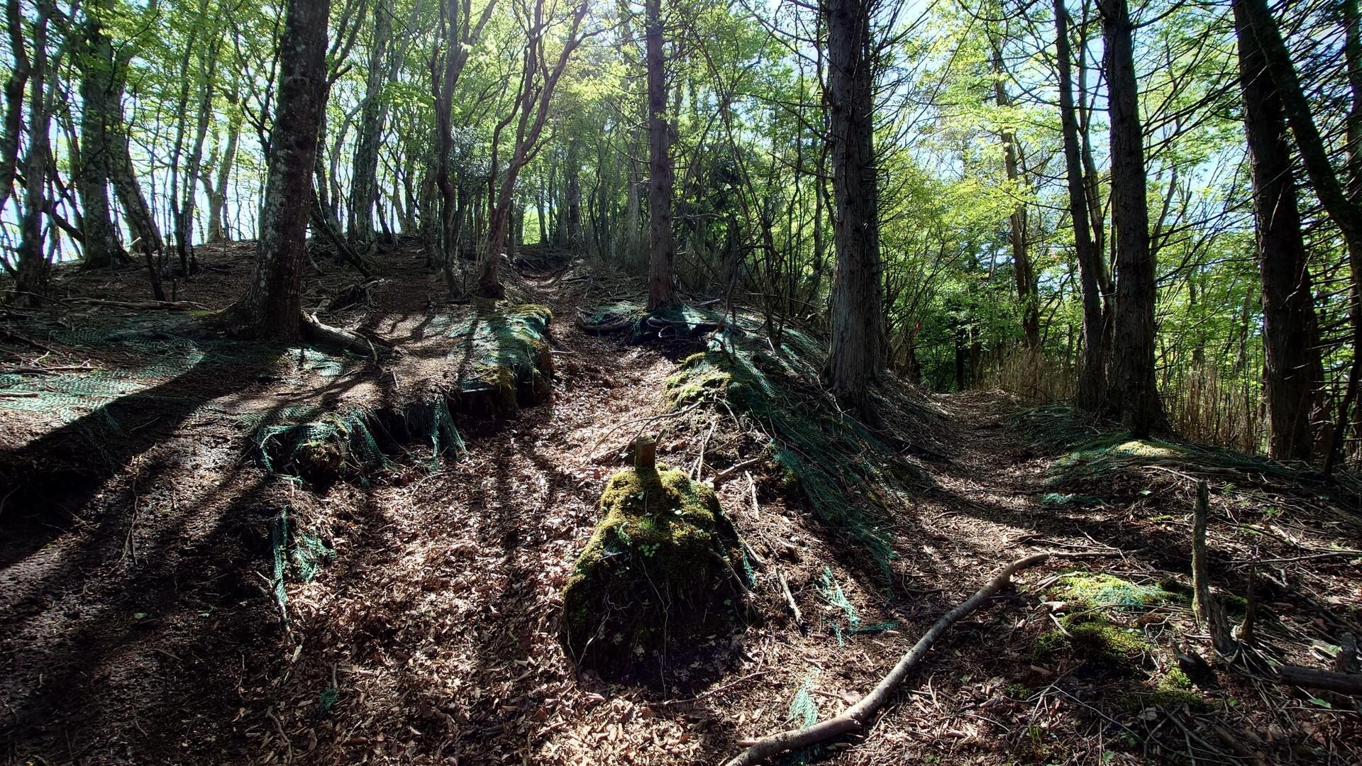 Paulさんの投稿したフィールドメモ | YAMAP / ヤマップ