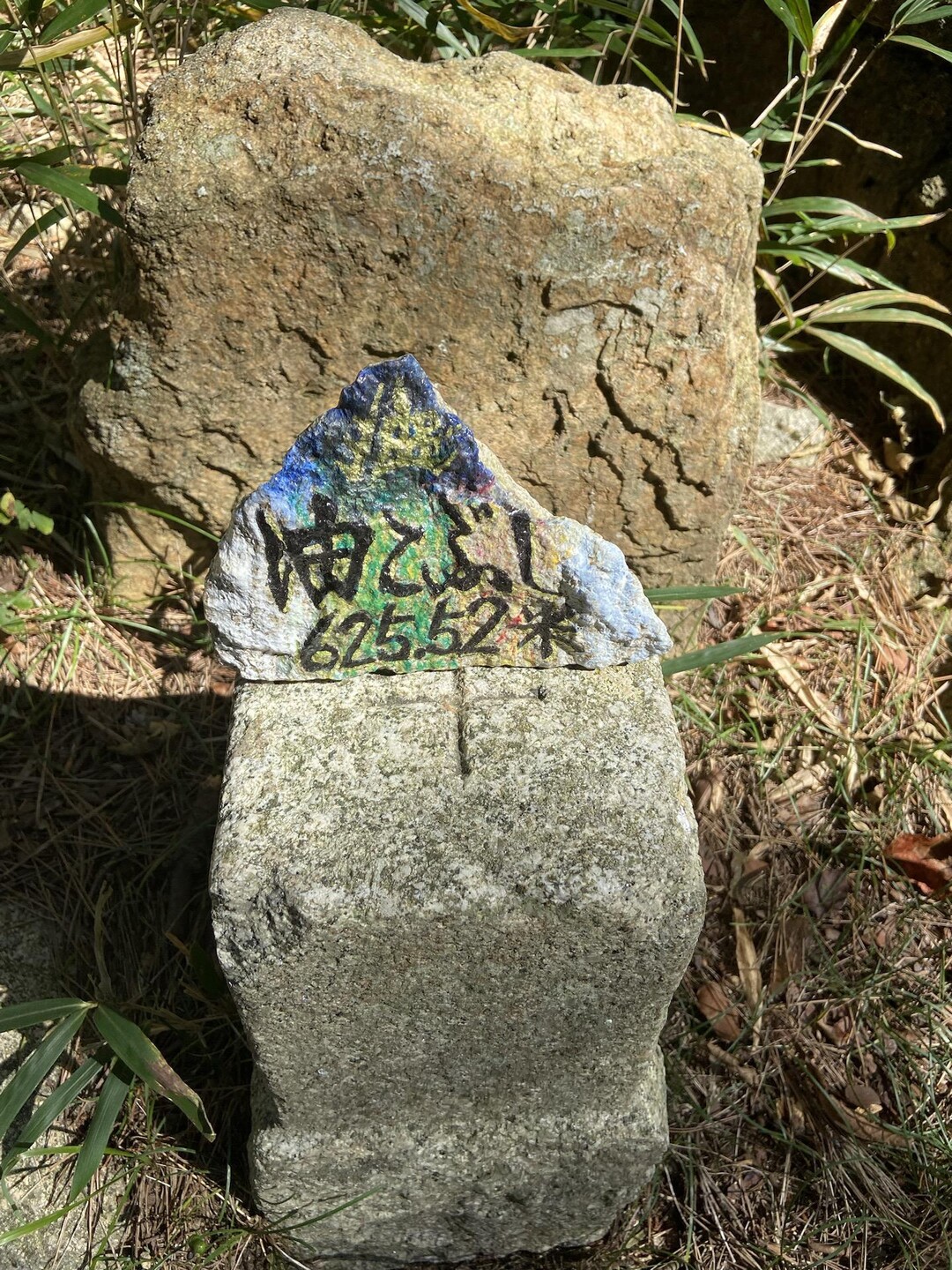 油コブシ👊と🦋 / Rock Onさんの六甲山・長峰山・摩耶山の活動データ | YAMAP / ヤマップ