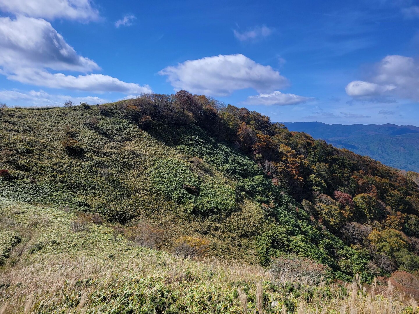 三ヶ上 / RIMOさんの三ヶ上の活動データ | YAMAP / ヤマップ