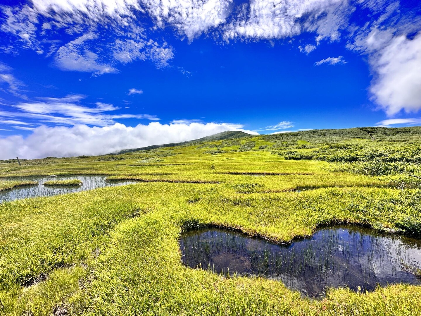 一ノ岳・二ノ岳・オモワシ山・月山 / YOUさんの月山の活動データ | YAMAP / ヤマップ