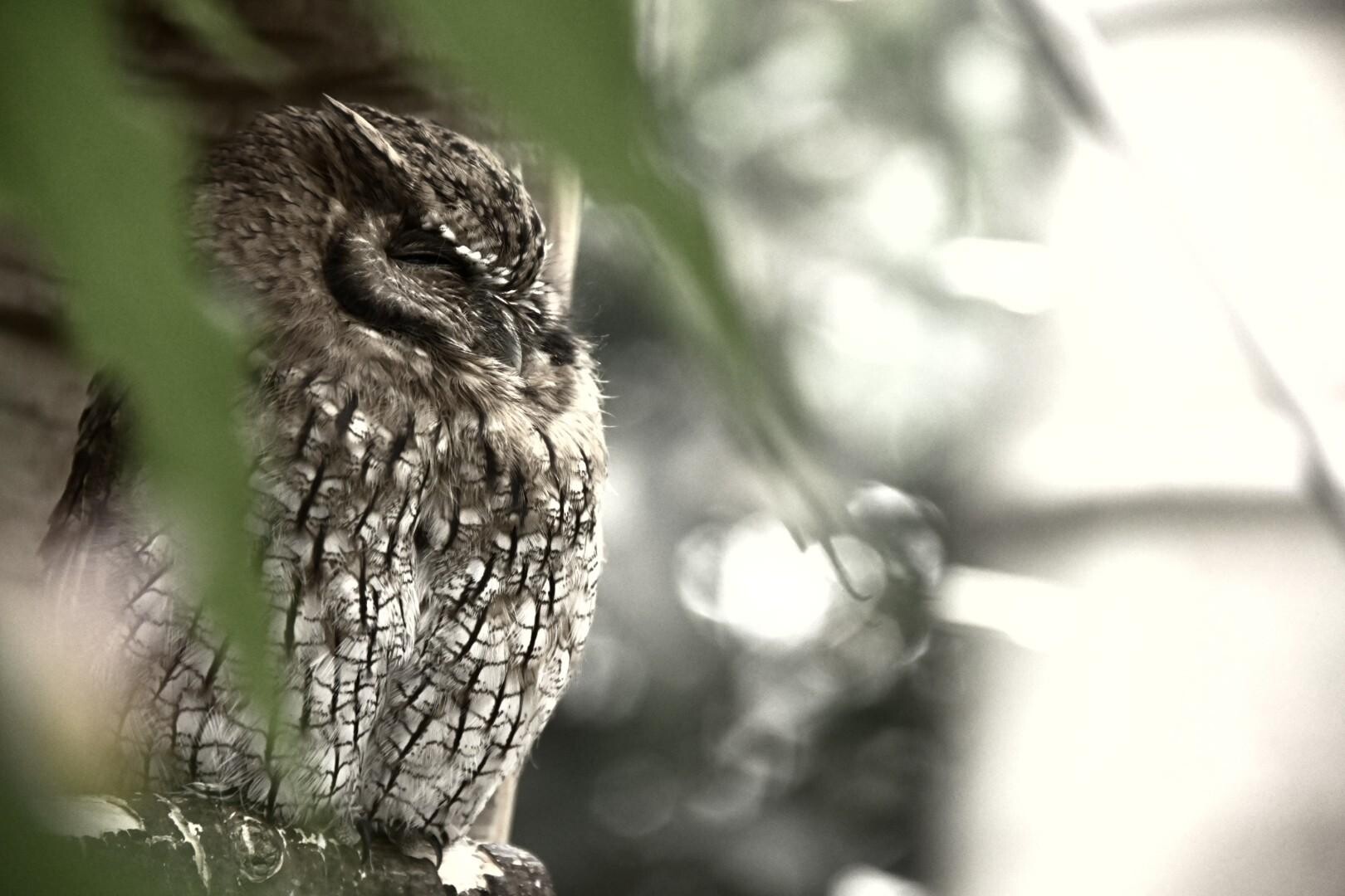 2022.11.15(火) 09:09 / 陽さんのモーメント | YAMAP / ヤマップ