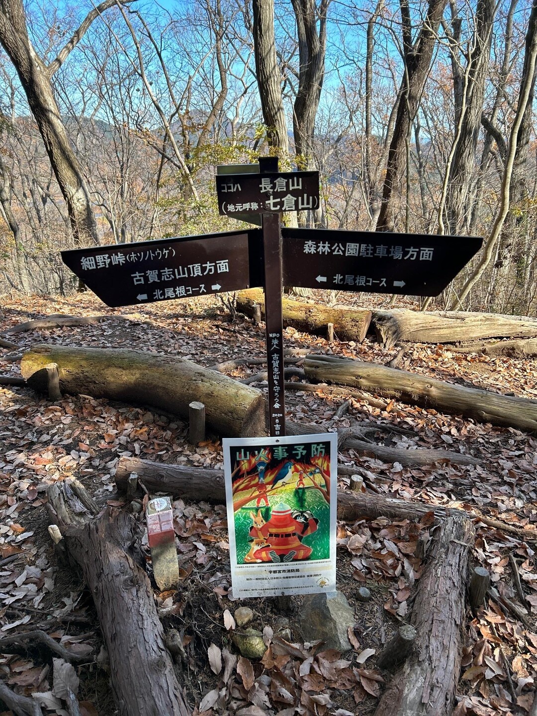 yuu39さんの投稿したフィールドメモ | YAMAP / ヤマップ