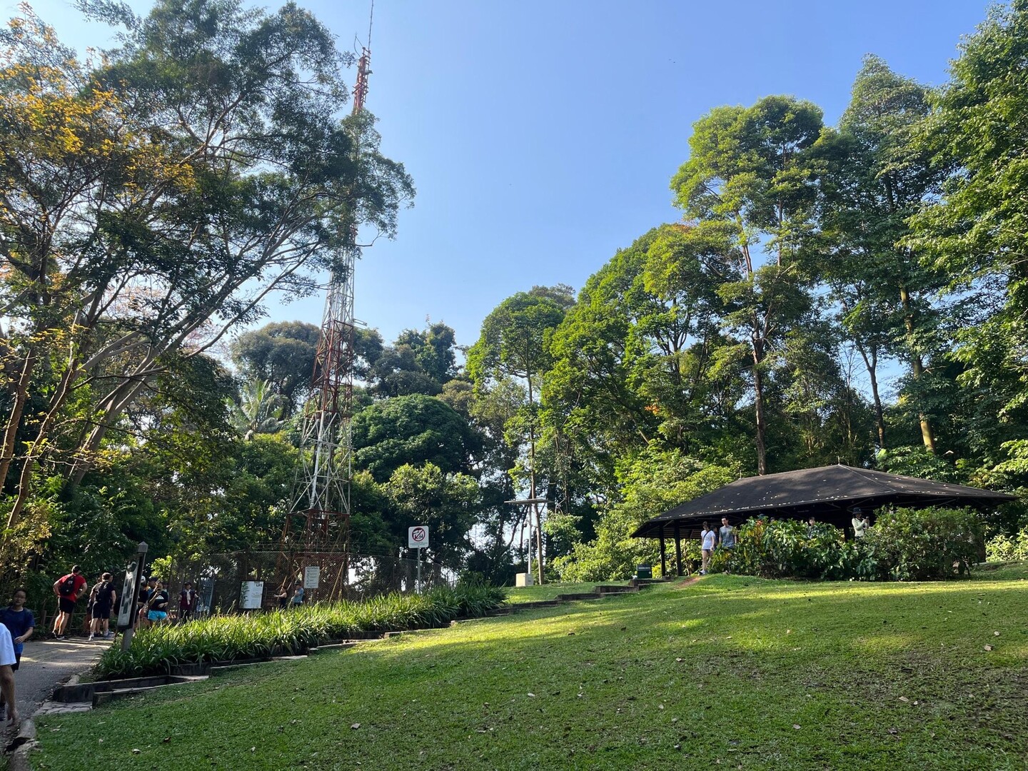 Bukit Timah ブキティマ / yasさんのブキティマの活動データ | YAMAP / ヤマップ