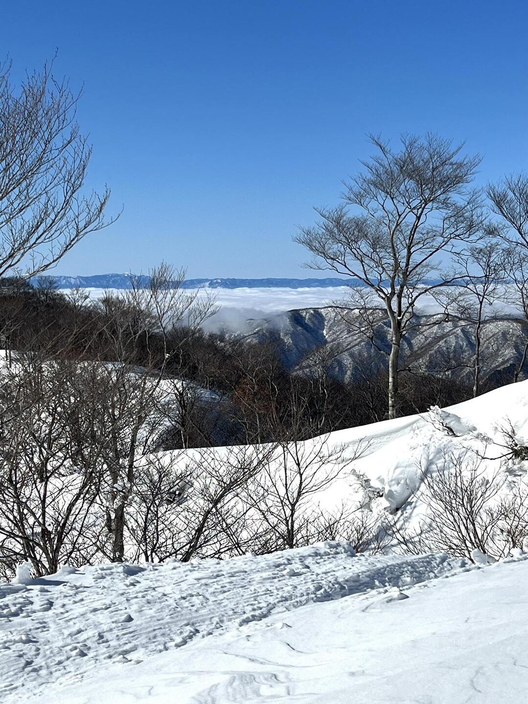 グランスノー奥伊吹から見えた雲海 この雲... / Mt.Gさんのモーメント | YAMAP / ヤマップ