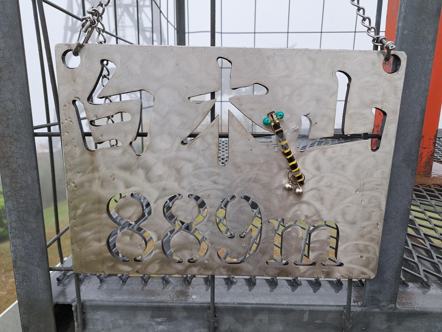 二度目もやっぱり「白き山」 しまいには雨😅 白木山・大槌山・胡谷山 / DSHさんの白木山・高松山・鬼ヶ城山の活動データ | YAMAP / ヤマップ