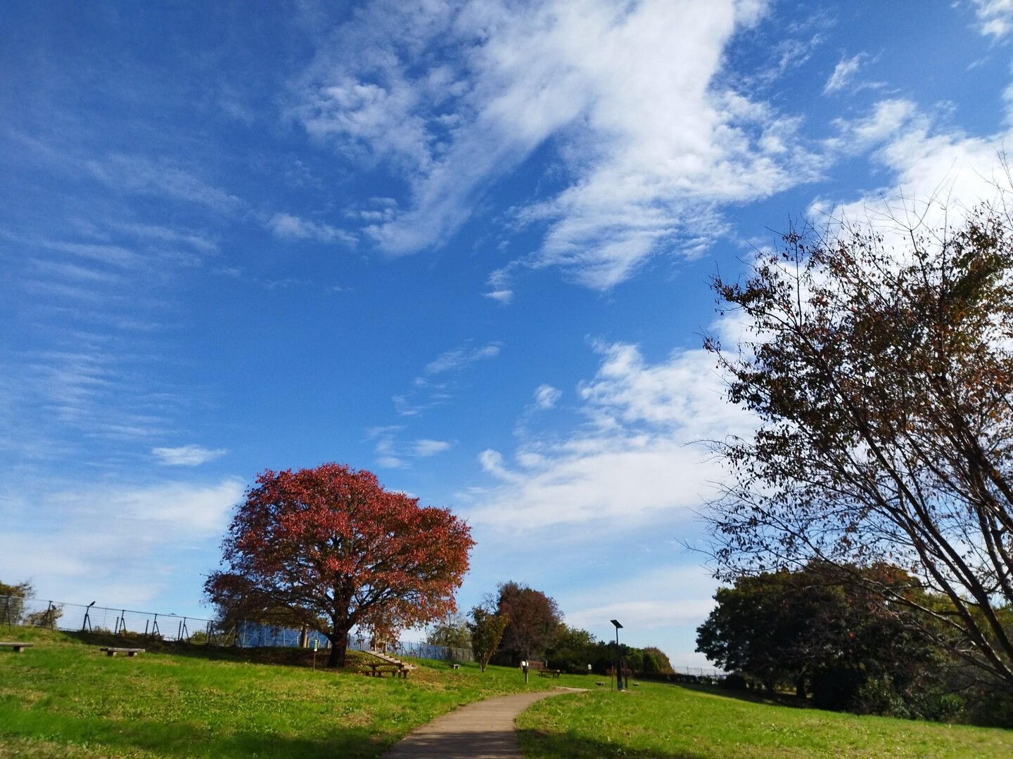 運動しなきゃ！ bar.ひよどり山 / まっともさんの甲州街道（府中宿～横山宿）の活動データ | YAMAP / ヤマップ