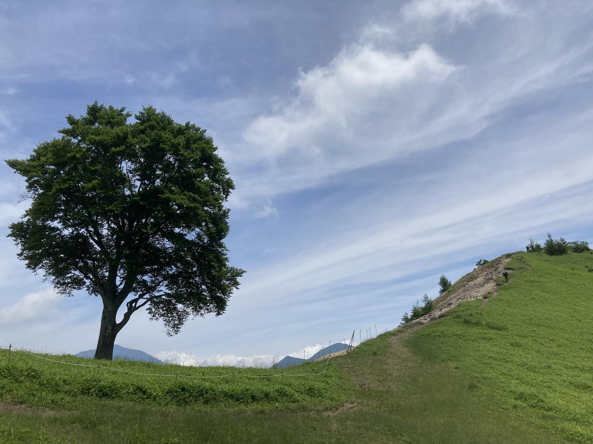 中倉山 / YYKKさんの皇海山・袈裟丸山・庚申山の活動日記 | YAMAP / ヤマップ
