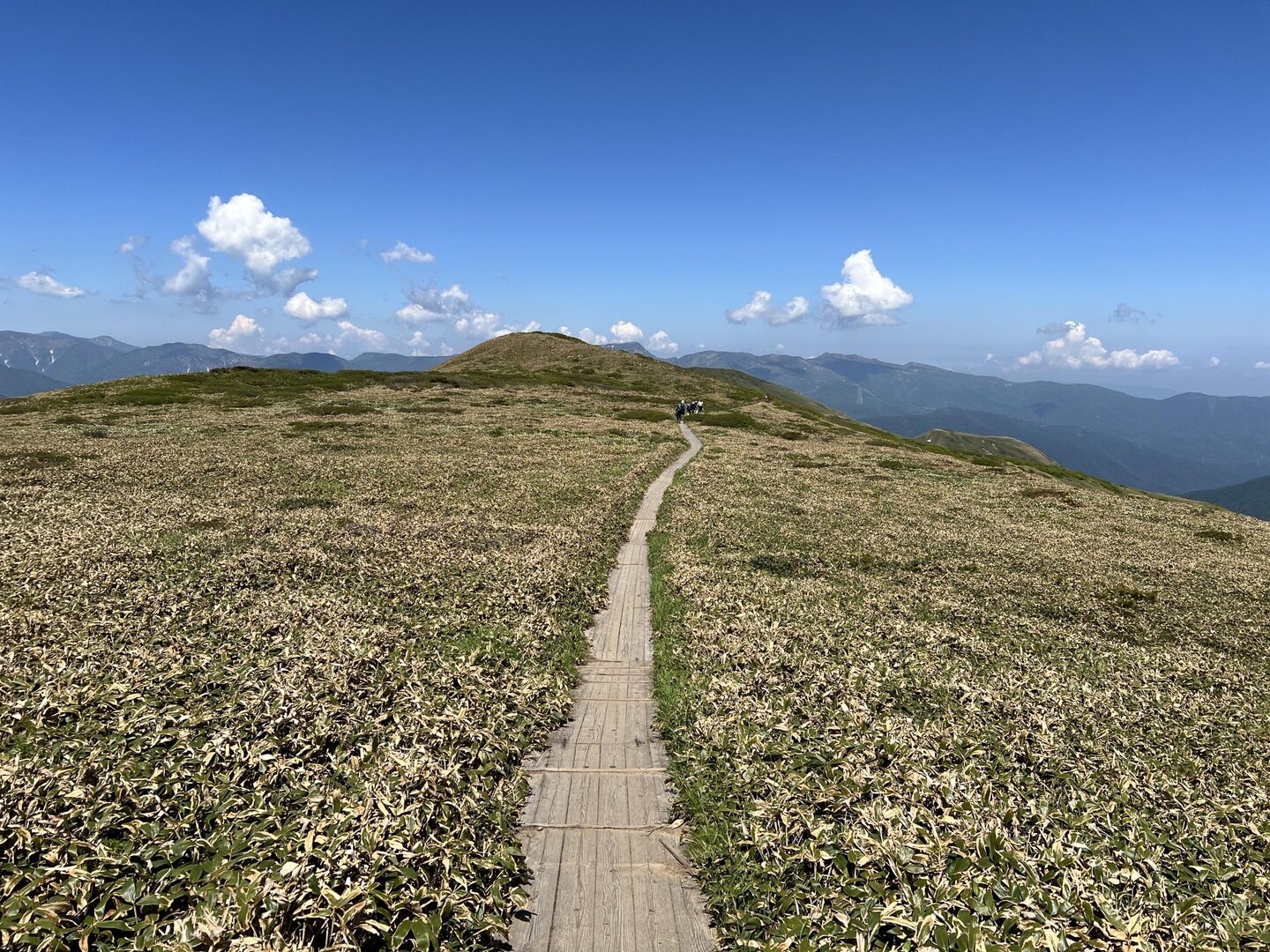 松手山・平標山・前仙ノ倉山・仙ノ倉山 / shioさんの仙ノ倉山・平標山・大源太山の活動データ | YAMAP / ヤマップ