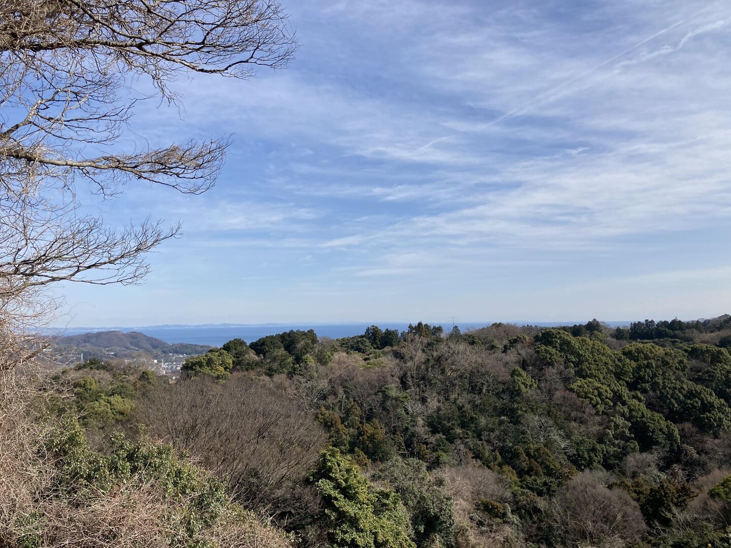曽我丘陵ゆるゆるジョグ / ゆきまきさんのランニングの活動データ | YAMAP / ヤマップ