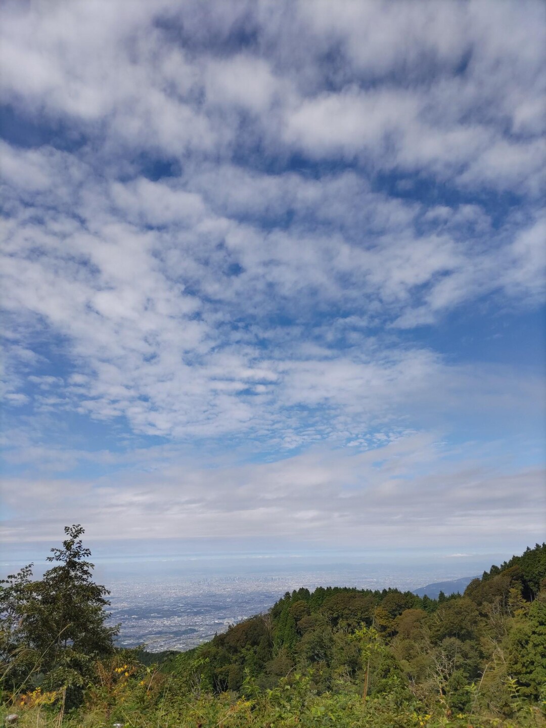 金剛山 / T64さんの金剛山・二上山・大和葛城山の活動データ | YAMAP / ヤマップ